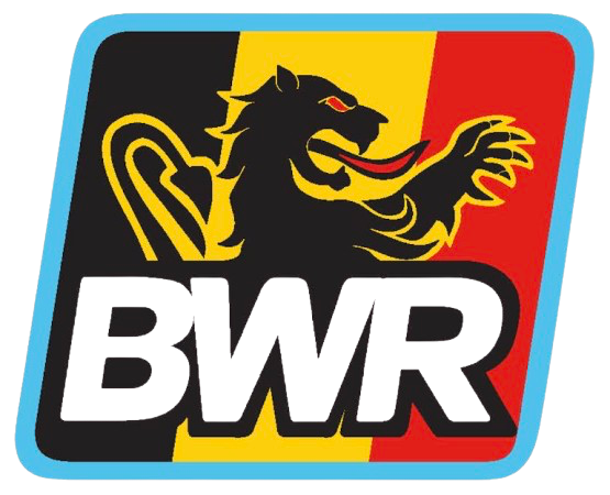 Welkom to the BWR Festival – 14th Annual BWR CA, and Roadie-Oh! in Del ...